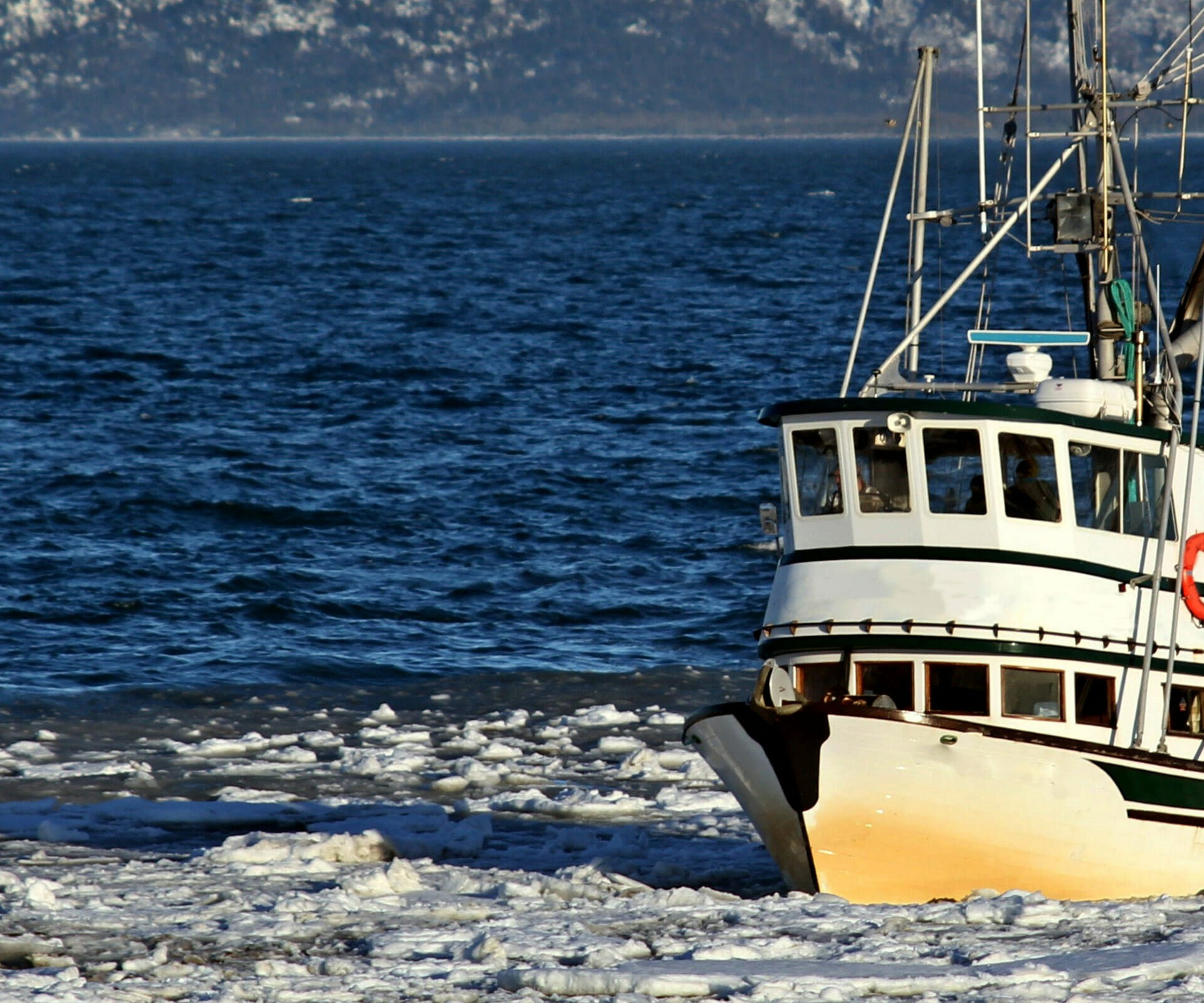 About Us | Ice Innovation and Awards | The Ice Co