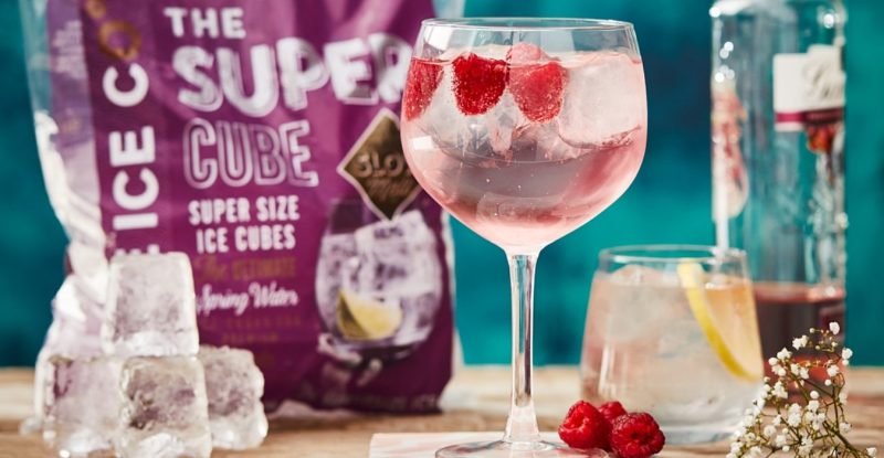 Why You Should Play The Great Gin Quiz with Gin Monkey » The Ice Co ...