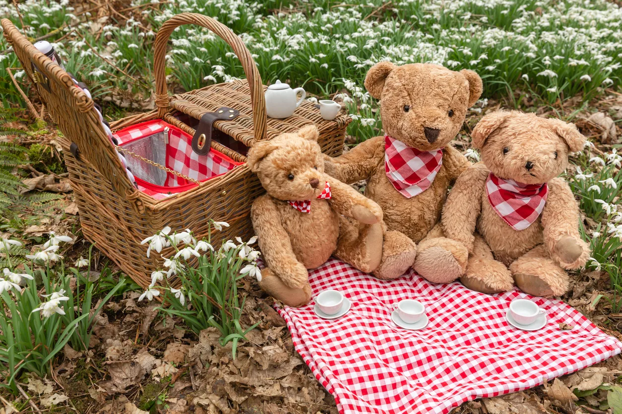 Teddy Bear Picnic Teddy Bears Picnic In Rothamstead Park Harpenden Teddy Bear Picnic Teddy Bears Picnic In Rothamstead Park Harpenden